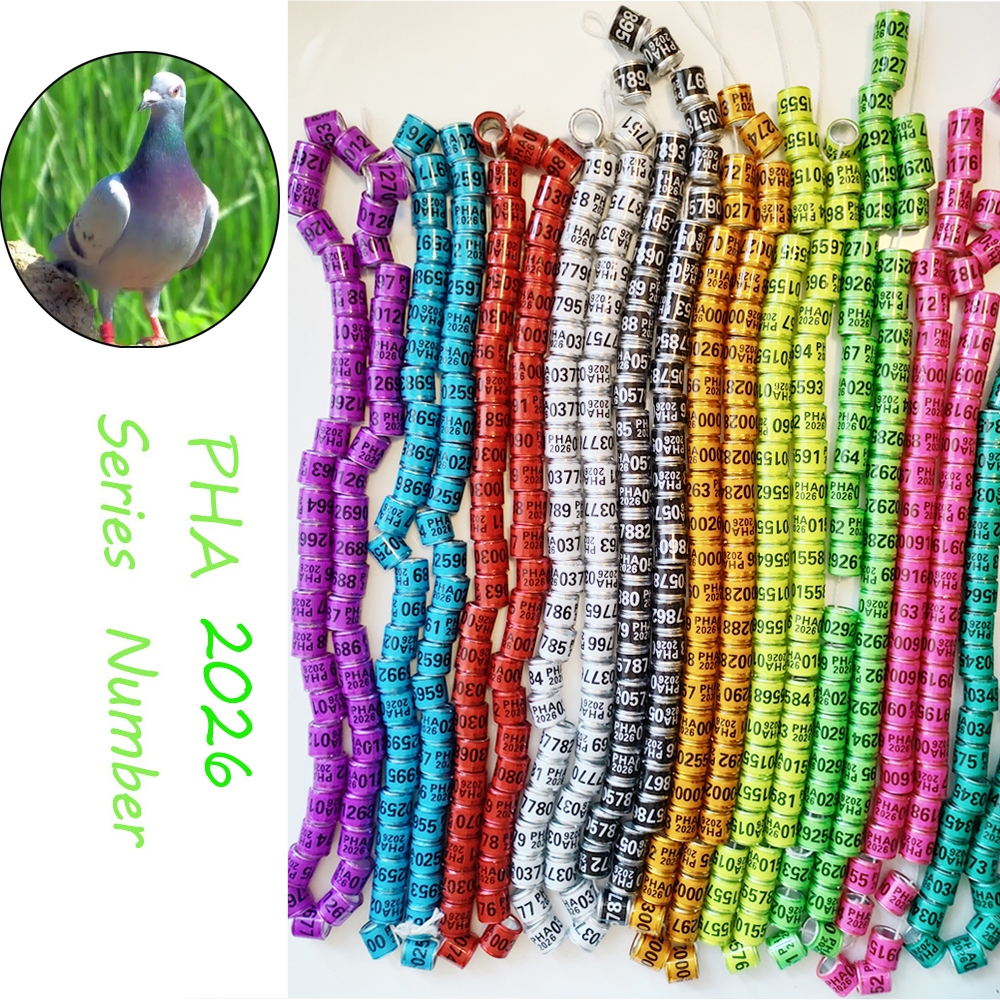 50Pcs PHA Pigeon Foot Rings 2026 8mm Pigeons Ring Serial Number 10 ...