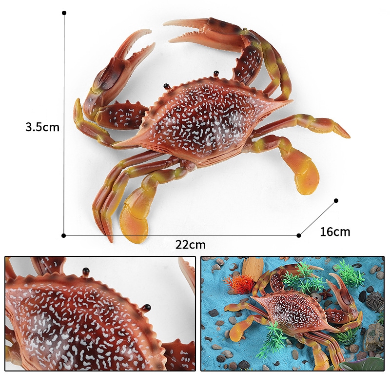 Simulated large crab model swimming crab toy hermit crab emperor crab ...