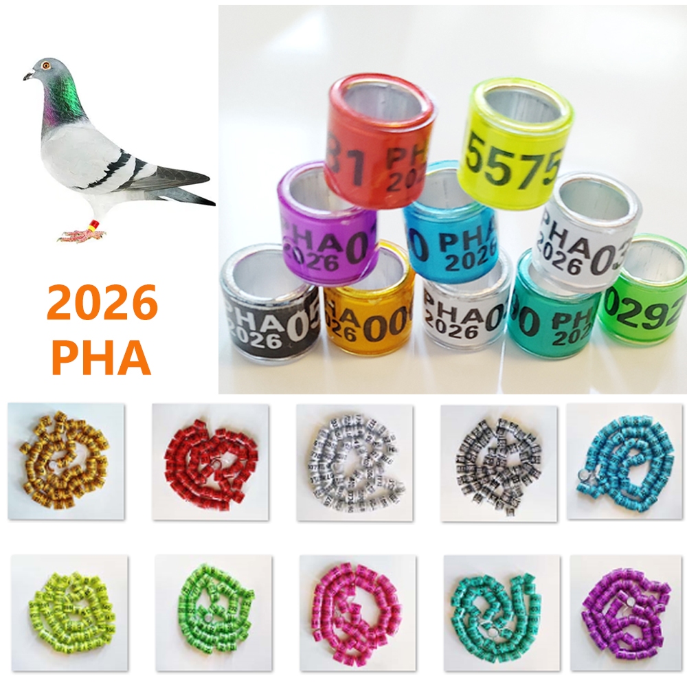 100 Pcs 2026 PHA Pigeons Foot Ring Multicolor 8mm With Word Training ...