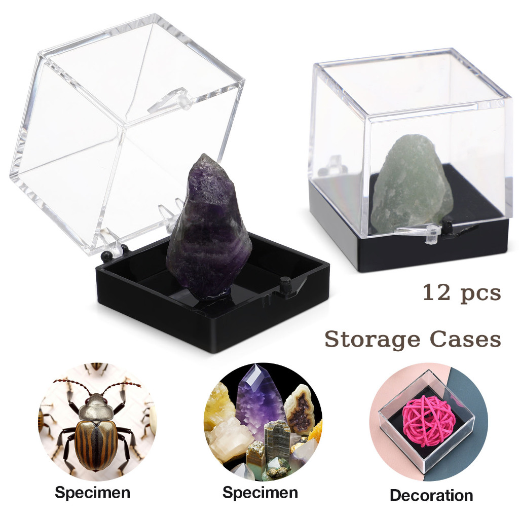 [Ready Stock] 12 Pcs Plastic Mineral Showcase Standard Display Box ...