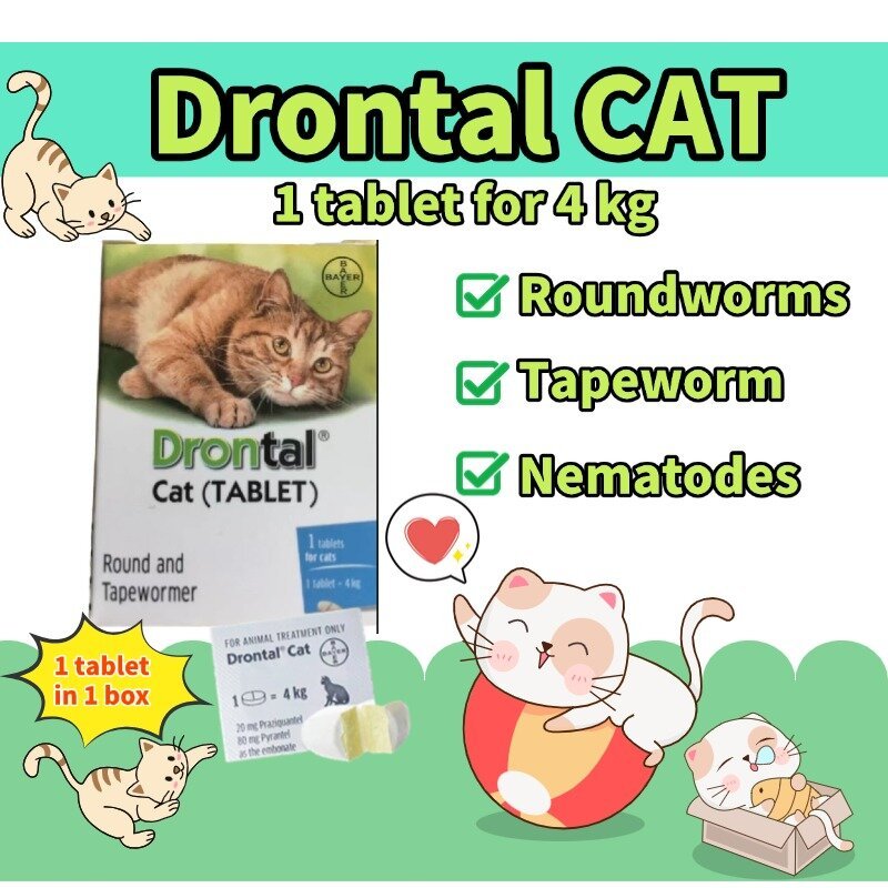 Drontal Plus Cat Deworm Kitten Ascaris Nematode Tapeworm Pills 1 Tablet ...