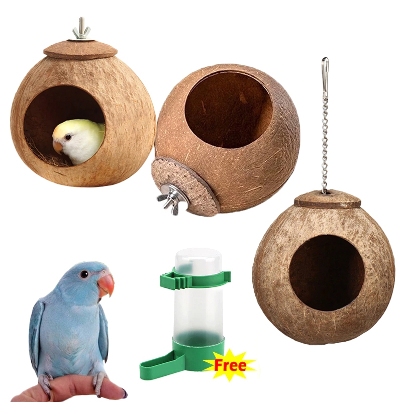 Natural Coconut shell Bird nest Wooden love birds Bird house for ...