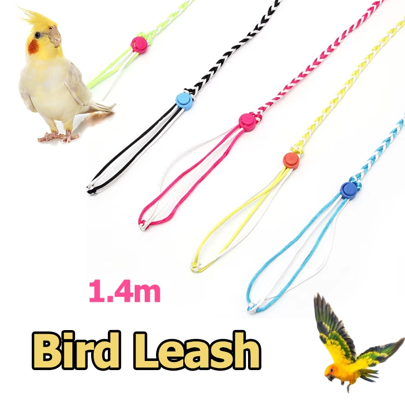 Bird Leash Training Leash Bird harness Parrot leash rope for Cockatiel ...