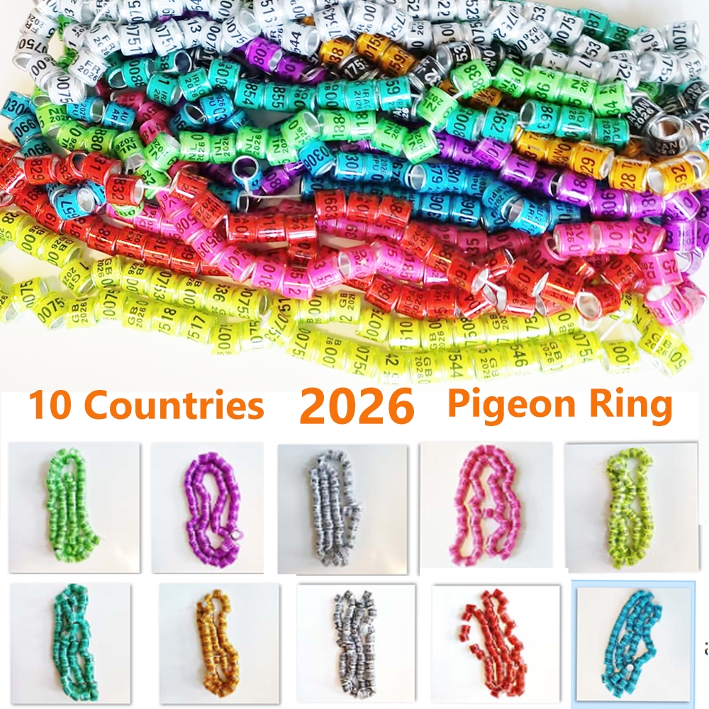8mm Club Ring 50Pcs 2026 Pigeons Foot Ring For Pigeon 2025 Parrots Leg ...