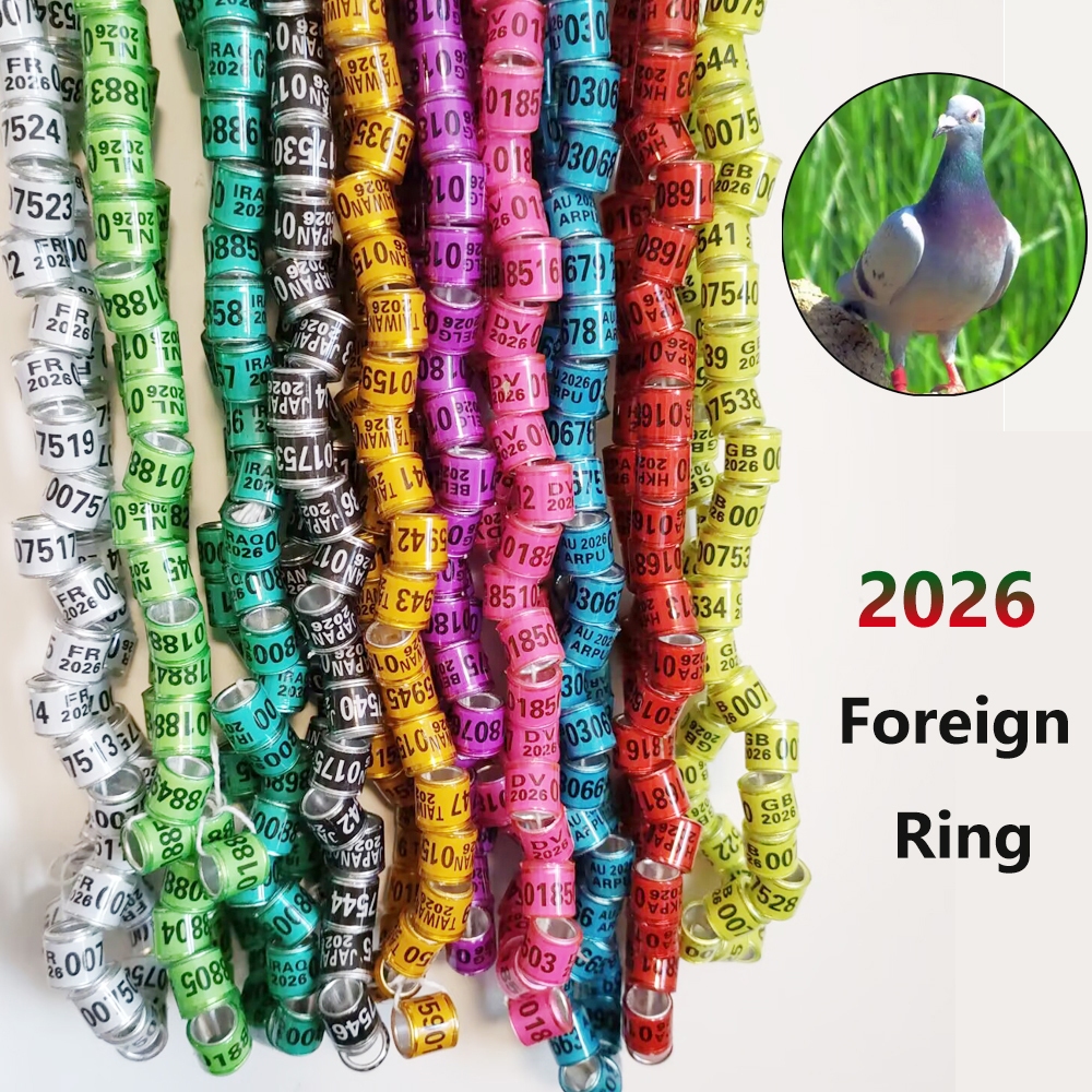 100 Pcs PHA Pigeons Foot Rings /2026 Foreign Pigeons Ring 10 Colors 8mm ...