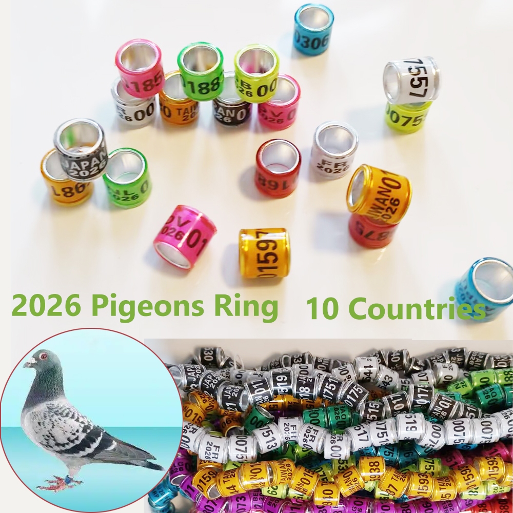 50 Pcs Pigeon Foot Rings 2026/2025 8mm Pigeons foot ring Parrots Leg ...