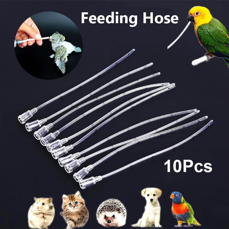 10Pcs Bird Handfeeding Syringe Soft Hose Plastic Feeding Tubes for Baby ...