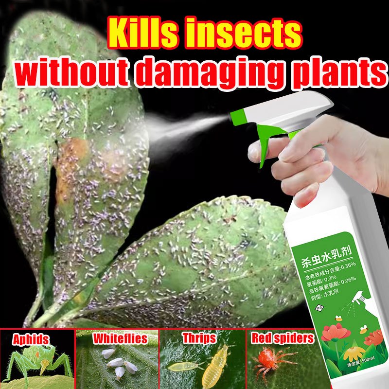 Plant insecticide spray Kills insects without damaging plants 500ML Bug ...