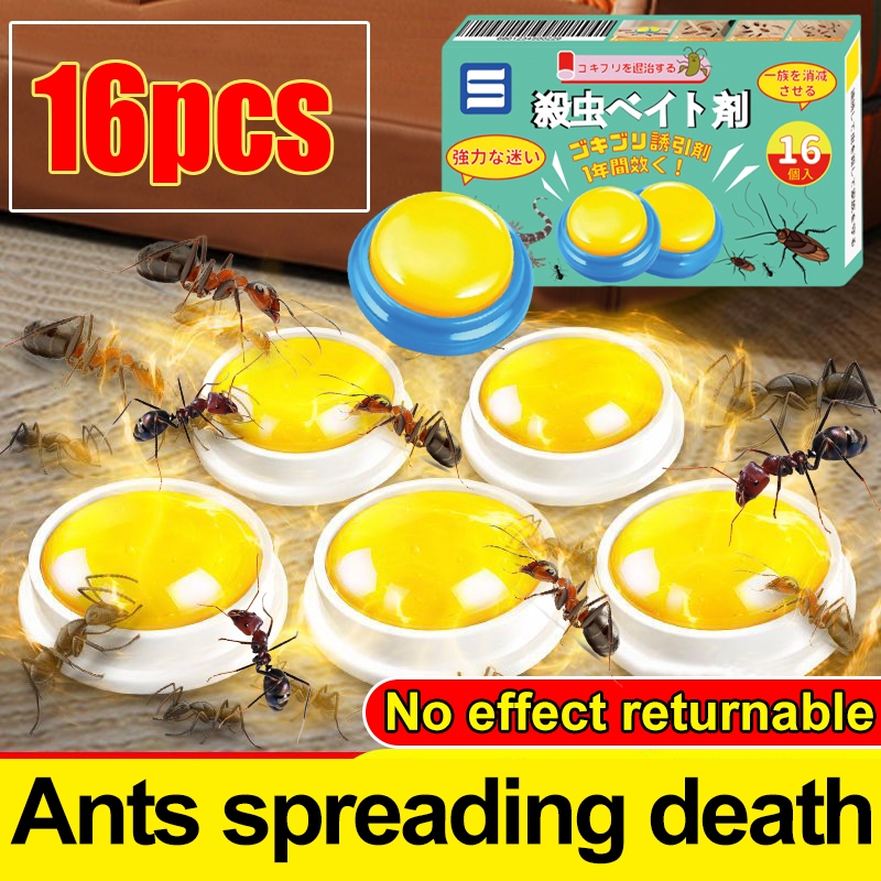 1 box 16 PCS FT Ant bait Ant killer Ant repellent for home Ant bait ...