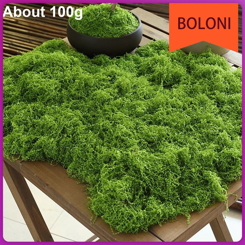 Simulation Moss Fake Green Plants Creative Gardening Micro Landscape ...
