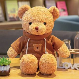 Cute Teddy Bear Doll Accompanying Teddy Bear Doll Decorated Plush Toy ...