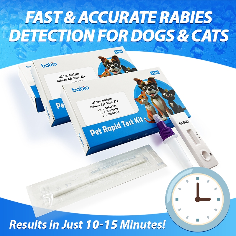 Rabies Virus Antigen Rapid Test Kit | Kit ng Mabilis na Pagsusuri para ...