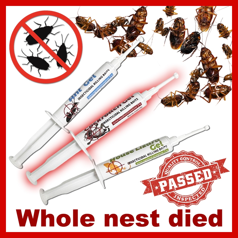 Infectious death NB Cockroach gel Cockroach killer gel Anti cockroach ...