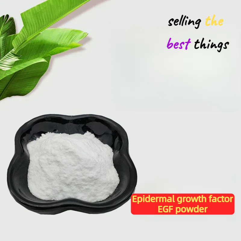 Epidermal growth factor EGF pure powder 99% white powder EGF growth ...