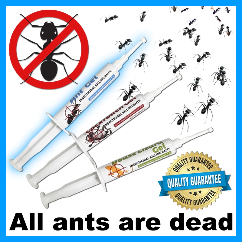 Imported Bait NB Ant bait Anti ants killer Ant repellent for home Safe ...