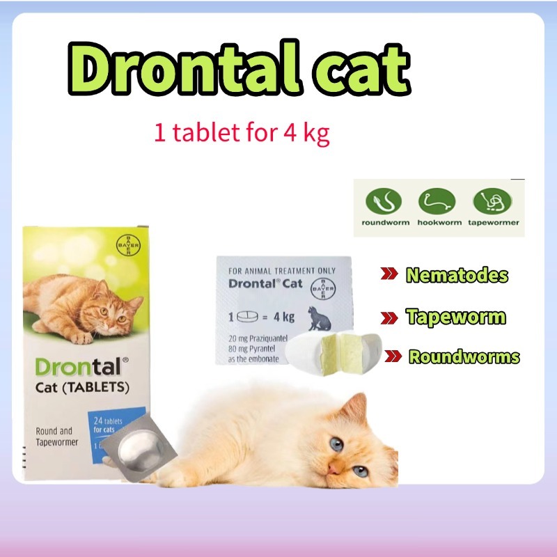 Drontal cat Tablet Dewormer 1 Tablet for Cat Roundworms and Tapeworms ...