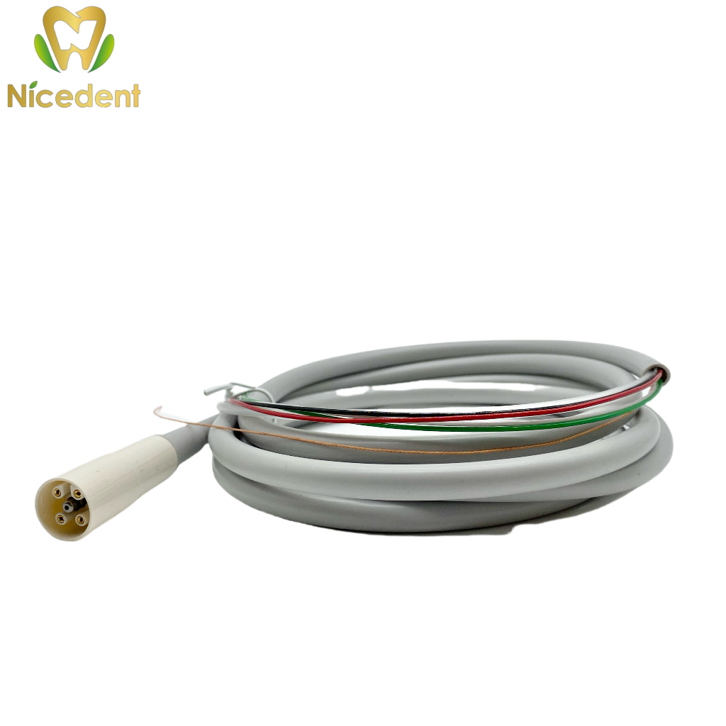 Detal chable Ultrasonic Piezo Dental LED Scaler Tube Woodpecker Ems DTE ...