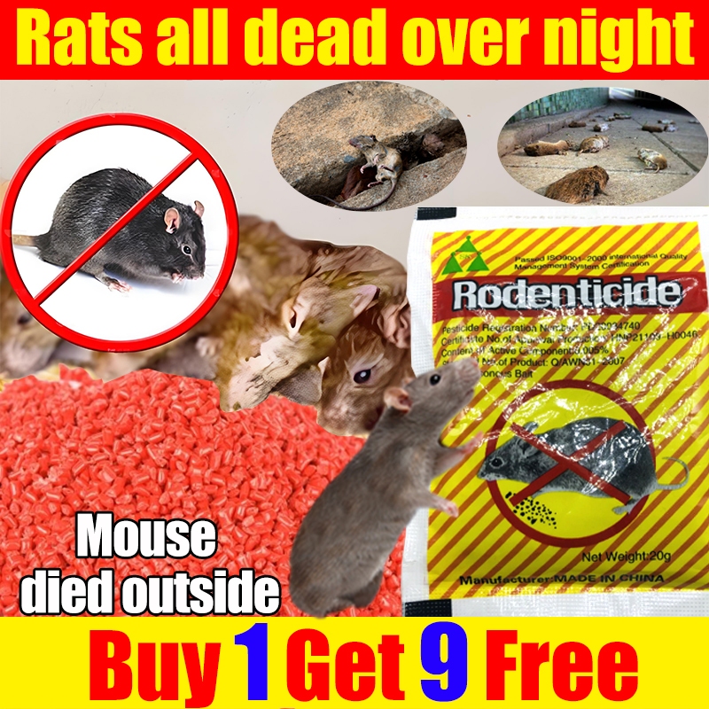 Rats all dead over night rat killer poison Buy 1 Get 9 Super ...