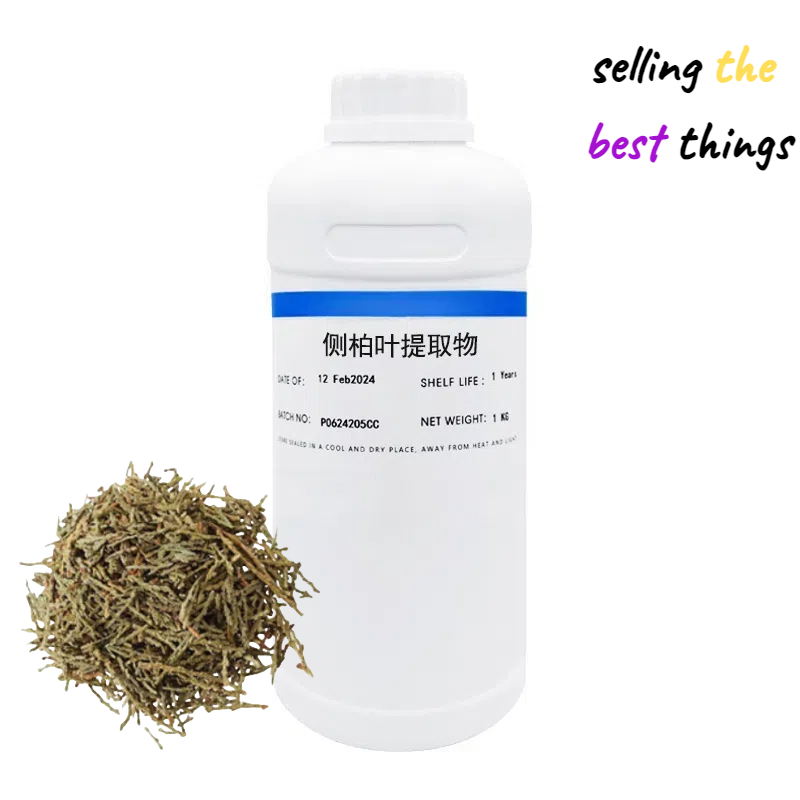 Spot natural extract Platycladus orientalis leaf extract hair growth ...