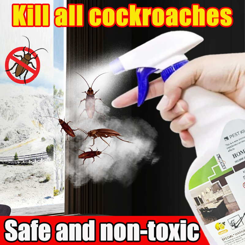 No cockroach for 50 Years DPP Cockroach killer spray Pamatay ng ipis ...