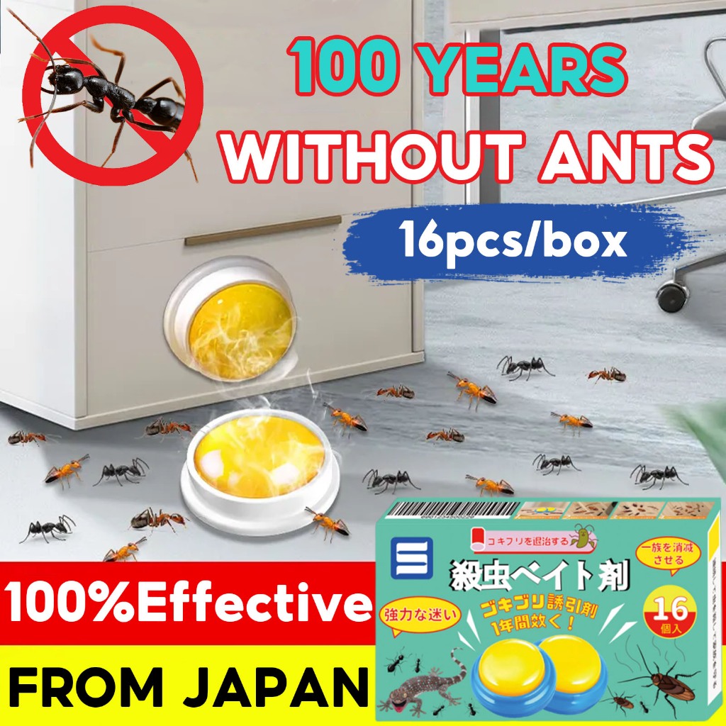 Kill all the ants KAMI Ant bait killer Anti ant poison Anti ants killer ...
