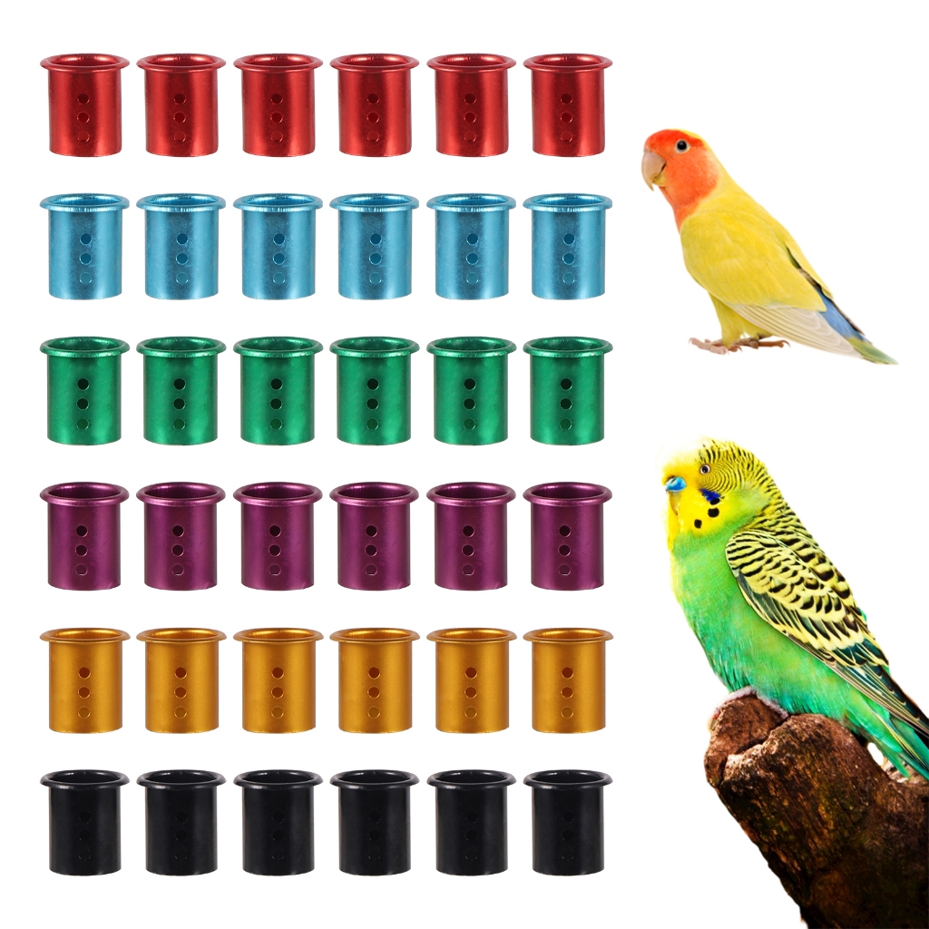 Pigeons Rings 8 mm Aluminium Inner Ring Identification Ring Pigeon Ring ...