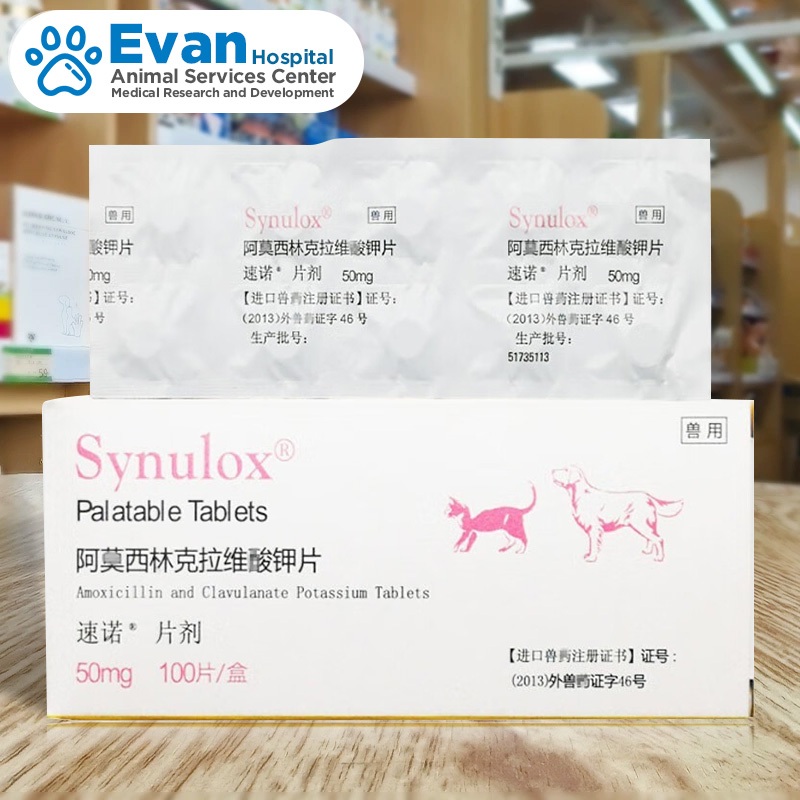 Synulox Palatable Tablets Anti-inflammatory Tablets for Cats Nasal ...