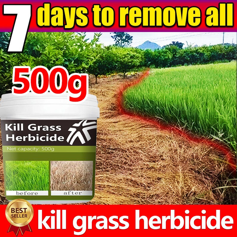 Herbicide grass killer 500G Kill grass herbicide root removal Kill tree ...