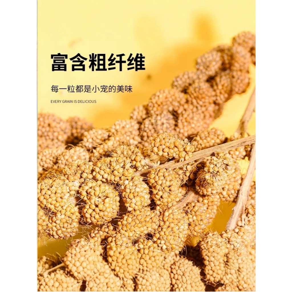 Parrot Natural Cereal Bird Food Lovebirds Cockatiel Budgies Nibbles ...