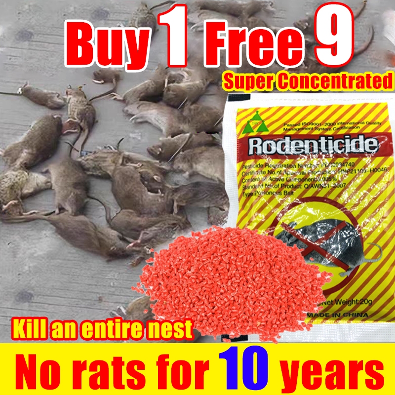 Buy 1 Free 9 rat killer No mice in 10 years rat killer poison Kill ...