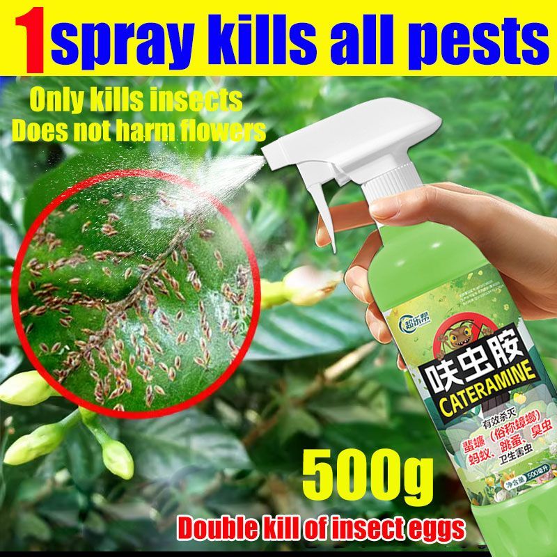 Kill insects in 1s Plant insecticide spray 500ml kill Aphids Mites ...