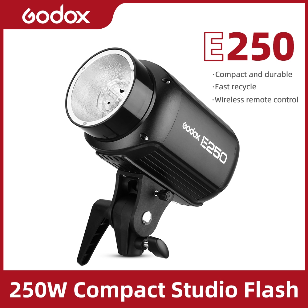 Godox E250 250Ws Studio Flash kit, Light Stand With 50*70cm Softbox+AT ...