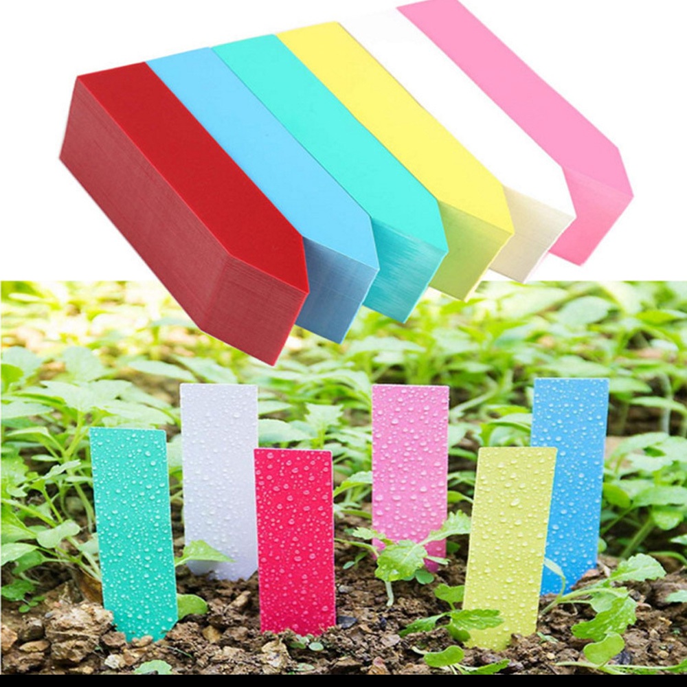 Strip Oval Label Plant Label Seed Pot Maker Succulents label Nursery ...