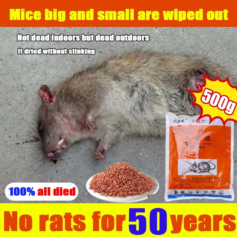 500G rat poison Don't die in the room Rat killer poison Rat lure that ...