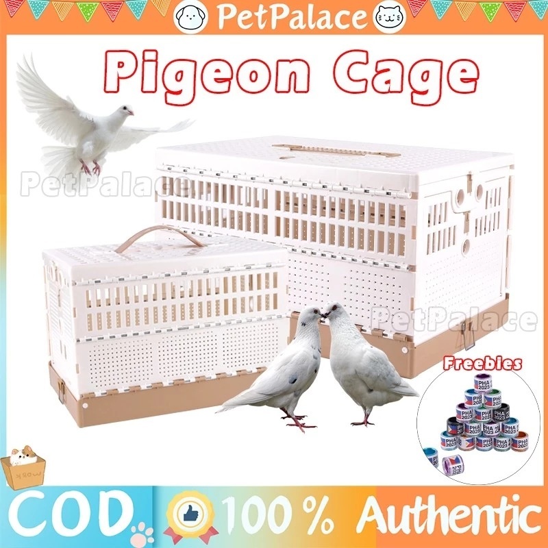 Foldable Bird Cage Pigeon Plastic Training Box Loft Portable Tbox for ...