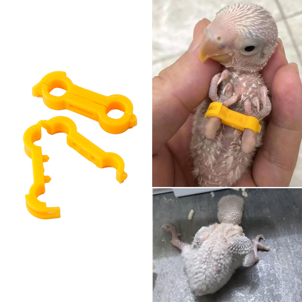 Bird legs Correction Ring Chicken Parrot Young Bird Corrector Leg ...