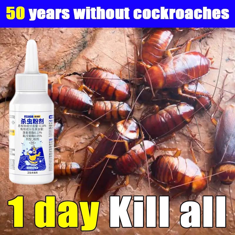 Effective Cockroach Powder cockroach Insect Bug Roach Food Poison ...
