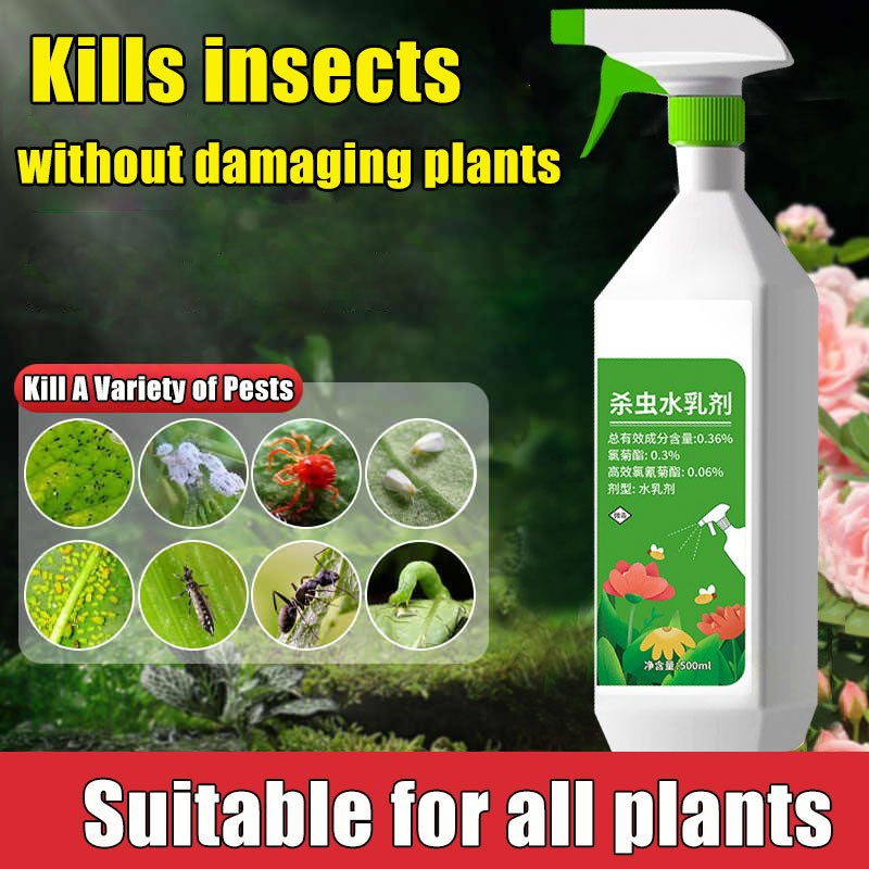 Kills insects without damaging plants 500ML Plant insecticide spray ...
