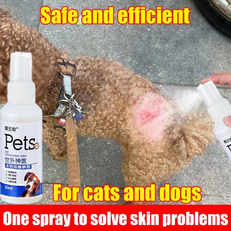 One spray to solve skin problems dog spray for skin disease Safe and ...