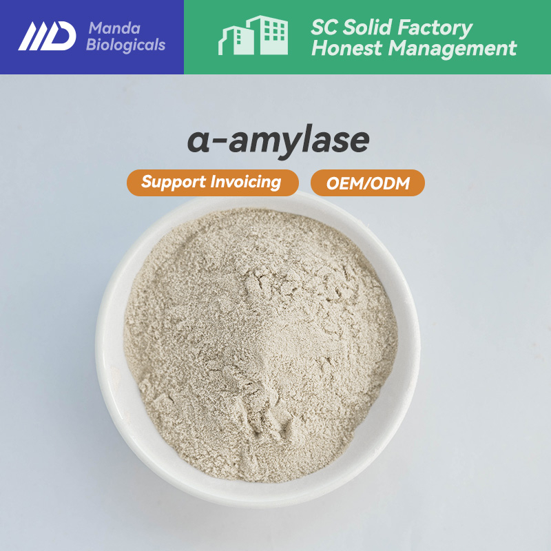 Wholesale raw materials Medium α-amylase powder/alpha amylase active ...