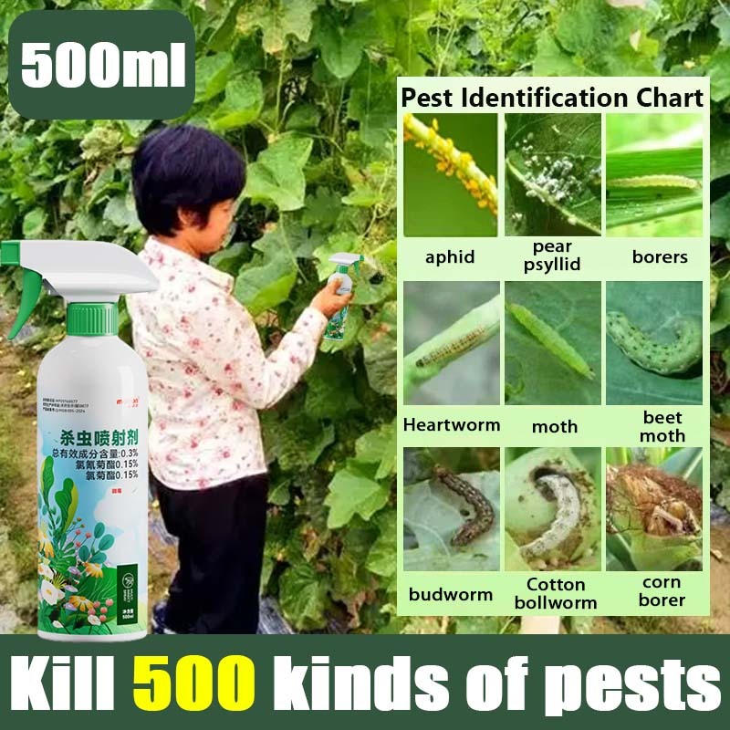 Plant organic insecticide best kill insecticide insecticide for ...
