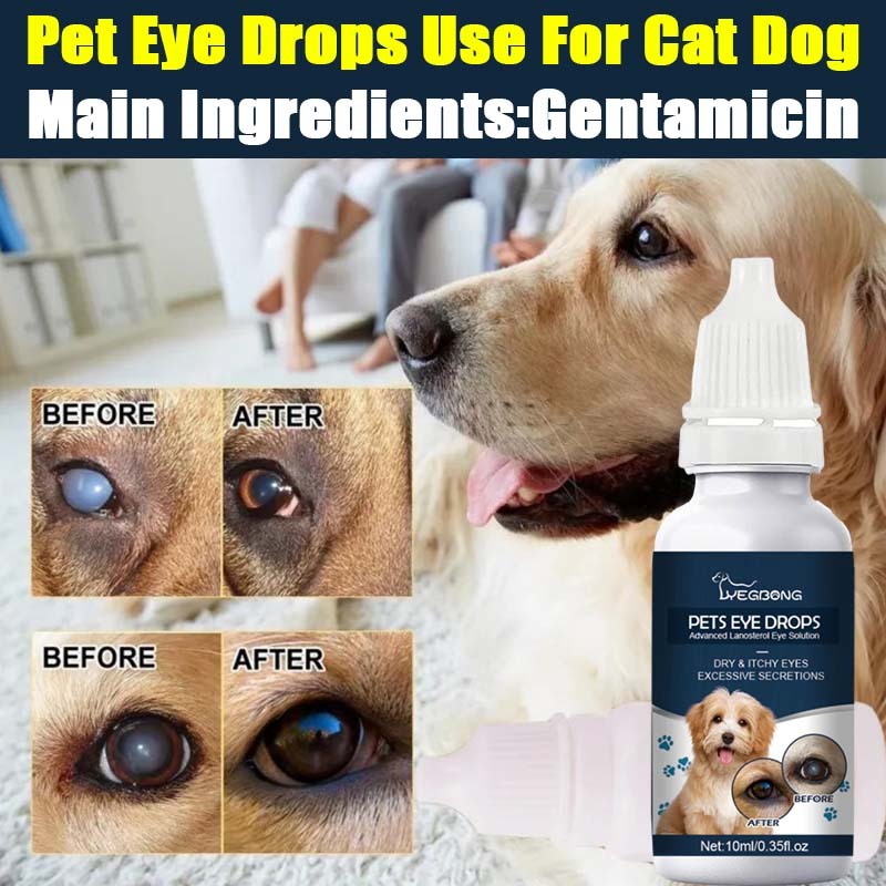 Gentamicin eye drop for dog eye drops for dogs cats tear stain remover ...