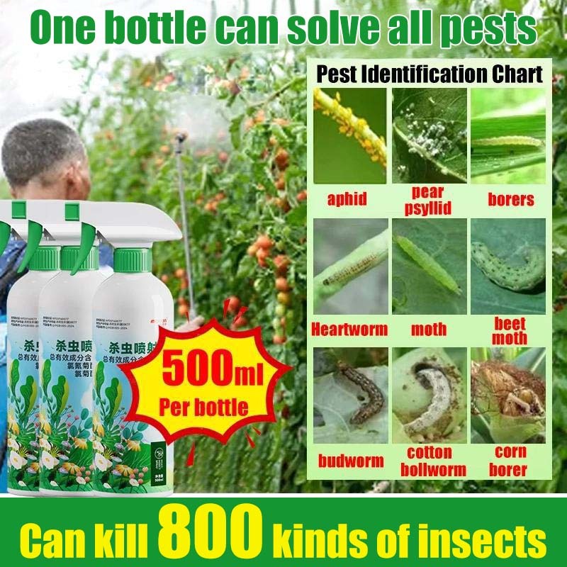 Kill 800 kinds of pests Plant insecticide spray 500ml No harm to plants ...