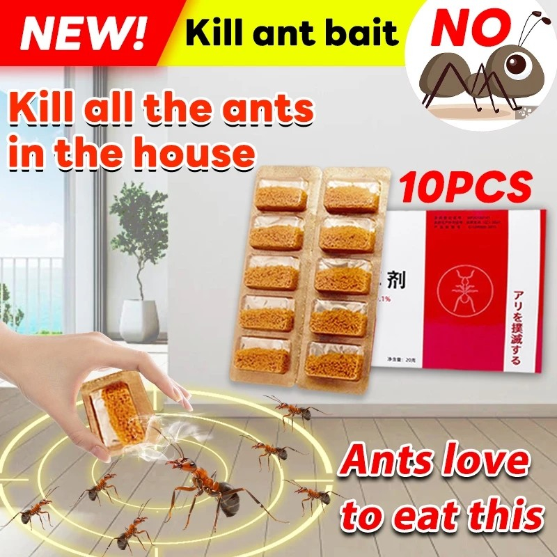 Kill all the ants in the house KAMI Ant killer bait Anti ant bait ...