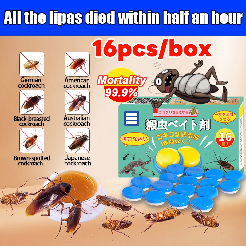16 PCS/BOX NB Cockroach killer Cockroach gel Cockroach killer gel Kill ...