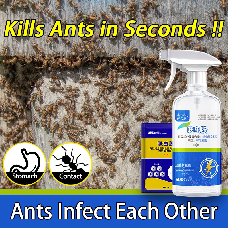 Ant Executioner Ants Spray Killer 500ml Ant Killer Odorless | Shopee ...