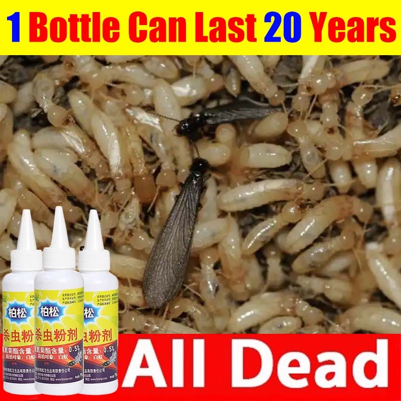 Queen ants die,infect each other,die quickly.Termite Killer termite x ...