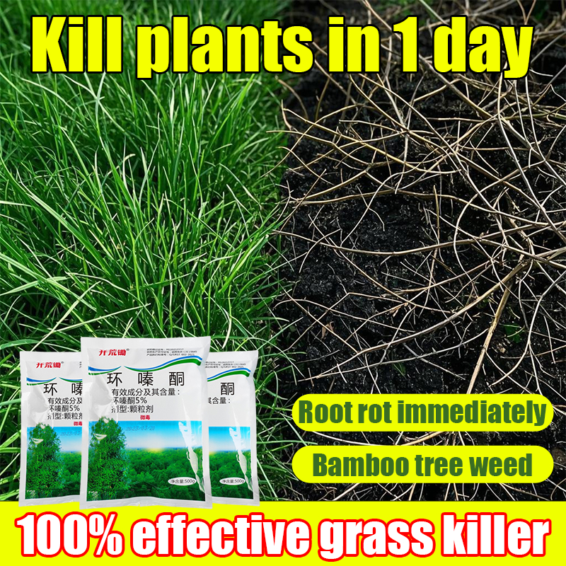 Root rot immediately tree killer grass killer Kill grass weed killer ...
