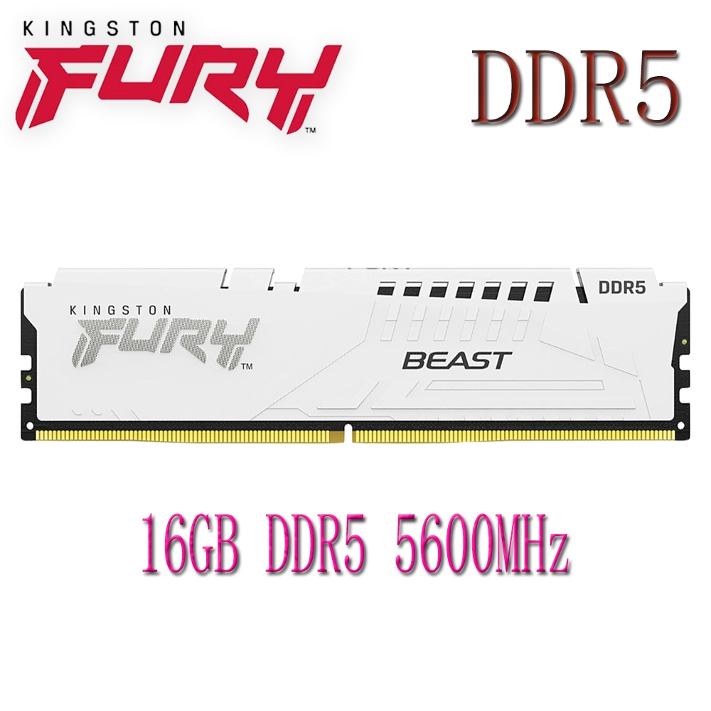 Kingston Fury Beast DDR5 RAM 16GB DDR5 5600MHz KF556C40BW-16 Desktop ...