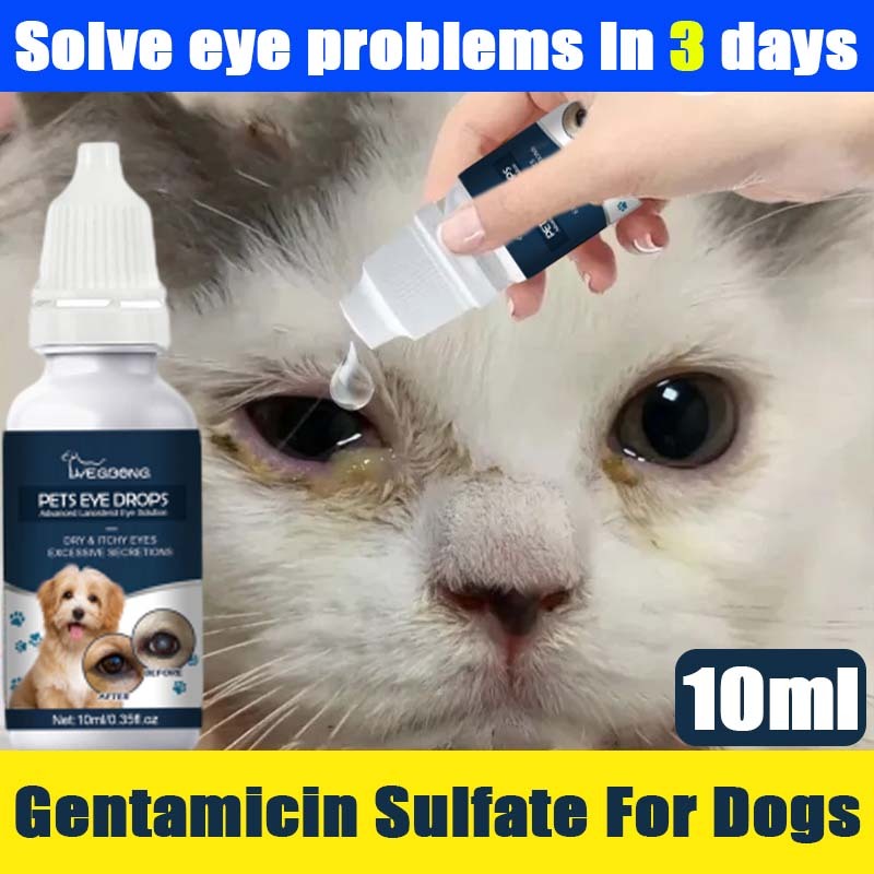 10ml Gentamicin Pet Eyes Drop for Cat and Dog Pet Eye Infection ...